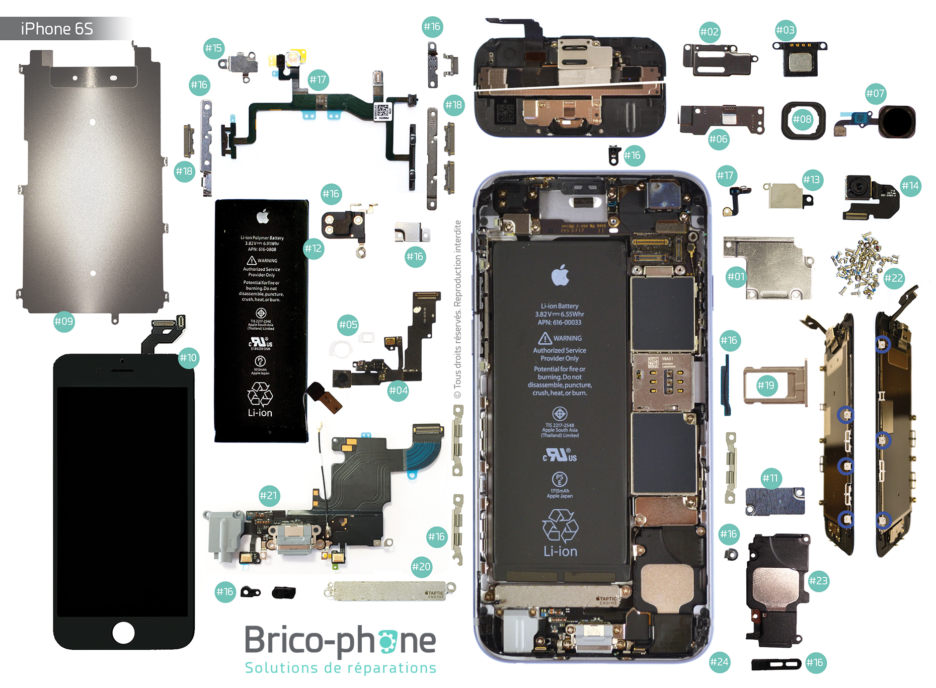 Vue éclatées des pièces détachées de l'iPhone 6S