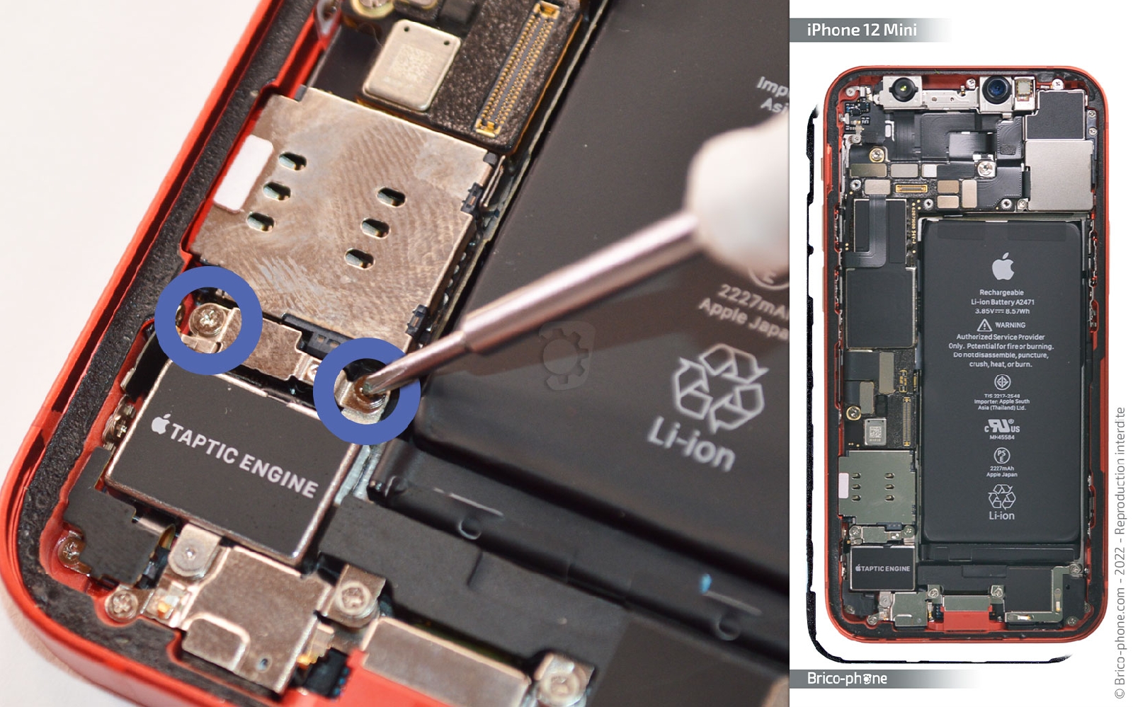 Découvrez comment remplacer le châssis complet de l'iPhone 12 mini avec ...