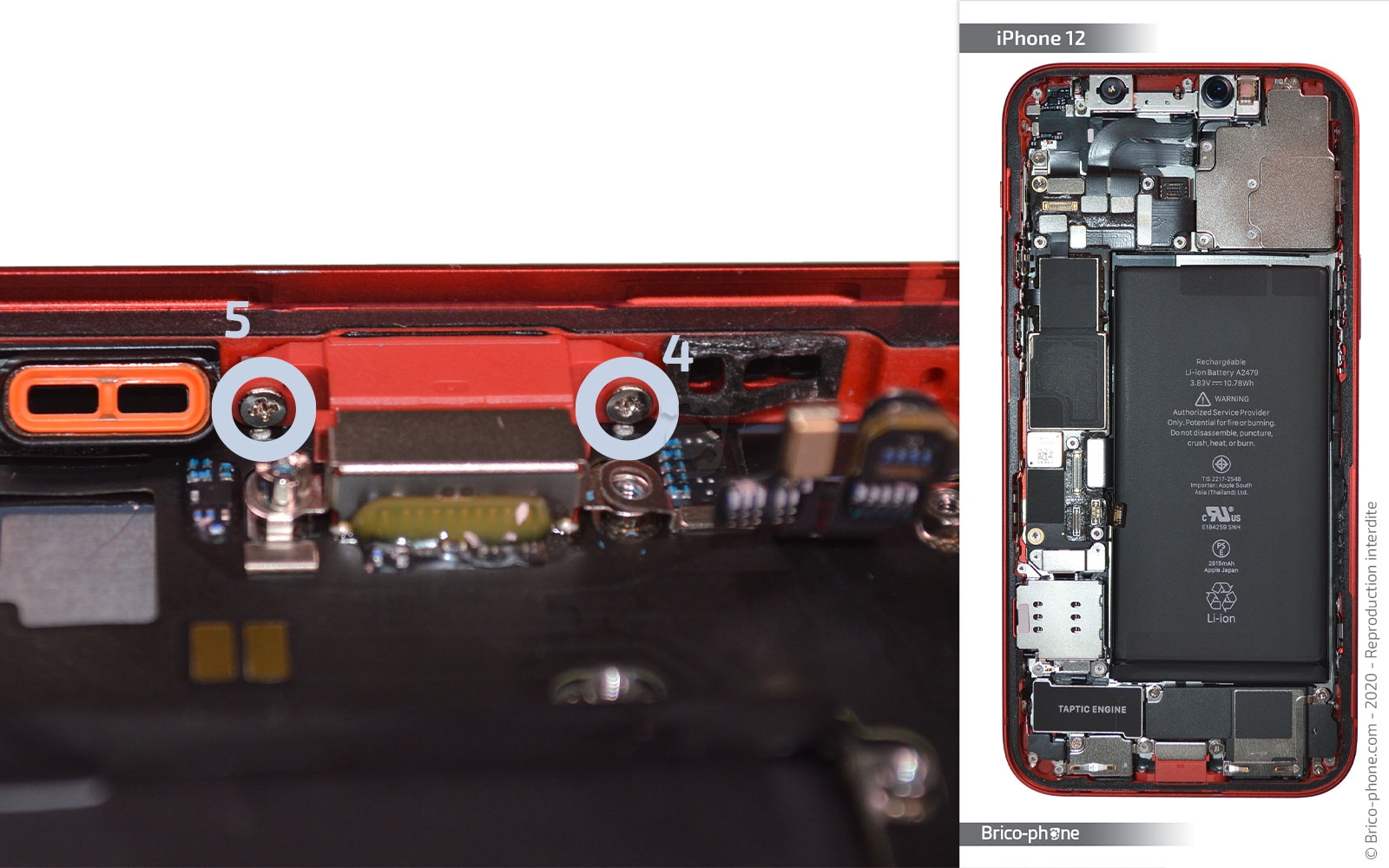 Guide de démontage pour remplacer le connecteur de charge de l'iPhone 12